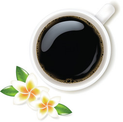 Coffee Flower Vector Images (over 15,000)