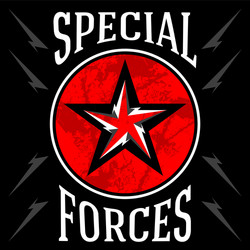 Special ops military patches Royalty Free Vector Image