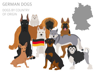 Dogs by country of origin german dog breeds Vector Image