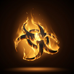 Caution explosion and fire hazard sign on white Vector Image