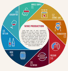 Infographic Fermentation Wine Vector Images (over 150)
