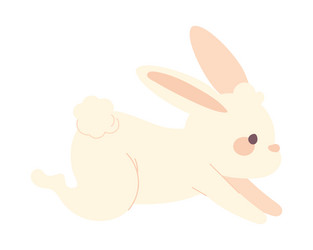 Rabbit icon Royalty Free Vector Image - VectorStock