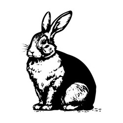 Rabbit drawing isolated hand drawn engraved style Vector Image