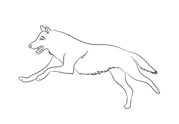 Wolf runs image lines Royalty Free Vector Image