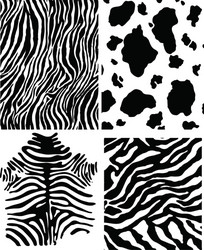 Texture Animal Textures Vector Images (over 140,000)
