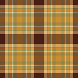 Classic plaid patterns in a colorful collection Vector Image