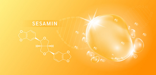 Sesamin drop and structure black sesame extract Vector Image