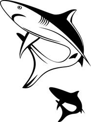 Shark bite a surfboard Royalty Free Vector Image