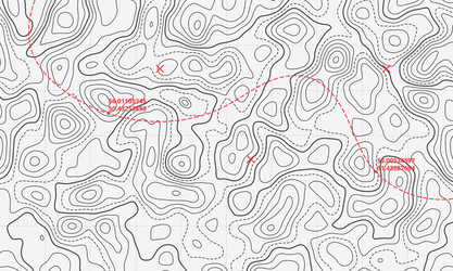 Ocean topographic line map with curvy wave Vector Image