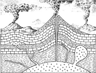 Infographic cross section Royalty Free Vector Image