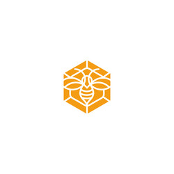 Graphic template of eyes icon logo Royalty Free Vector Image