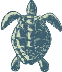 Cartoon Sea Turtle Top View