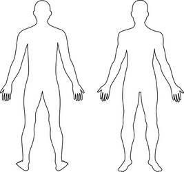 Human body icon outline Royalty Free Vector Image