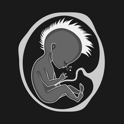 Pregnant with fetus Royalty Free Vector Image - VectorStock