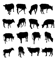 Cow Vector Images (over 110,000)