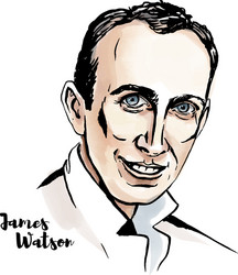 Zoologist color set Royalty Free Vector Image - VectorStock