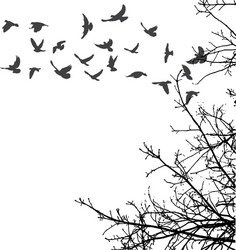 Silhouette flying birds and tree branches Vector Image