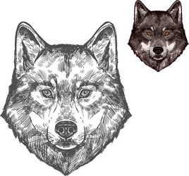 Wolf Totem Muzzle Vector Images (72)