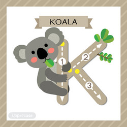 Koala Flashcard Vector Images (45)