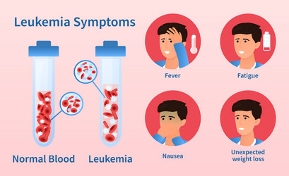 Infographic image leukemia leukaemia disease Vector Image