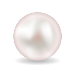 Pearl Vector Images (over 35,000)