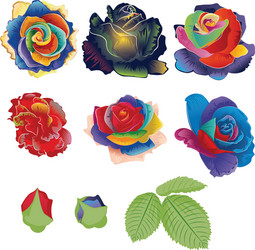Roses Royalty Free Vector Image - VectorStock