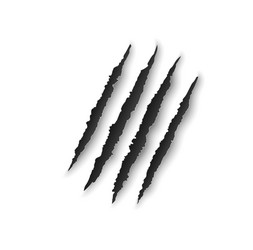Claw Rip Vector Images (over 910)