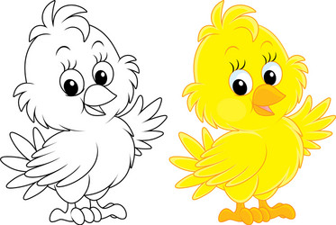 Chick Royalty Free Vector Image - VectorStock