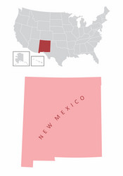 New Mexico State Shape Outline Vector Images (over 170)