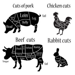 Beef chart poster butcher diagram for groceries Vector Image