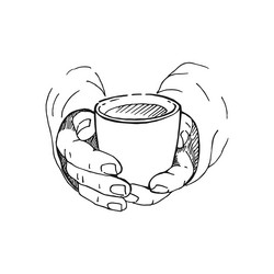 Hand drawn sketch of hands holding a cup Vector Image