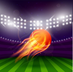 Fire Cricket Ball Vector Images (over 130)