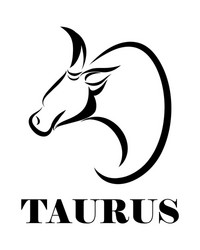 Taurus zodiac line art eps 10 Royalty Free Vector Image