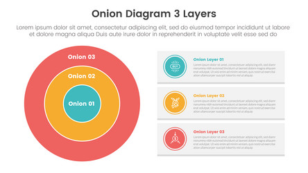 Onion diagram structure for infographic template Vector Image