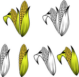 Corn Maize Vector Images (over 10,000)