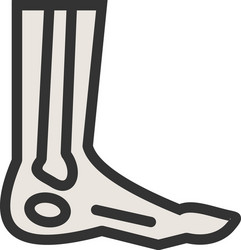 Skeleton foot color stroke Royalty Free Vector Image