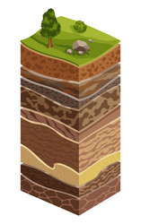 Showing soil layers of earth cross section Vector Image