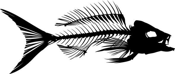 Bass fish skeleton monochrome concept Royalty Free Vector