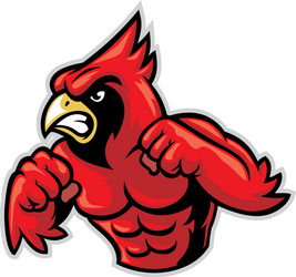 Flying cardinal bird Royalty Free Vector Image