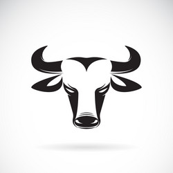 Bull design on white background wild animals Vector Image
