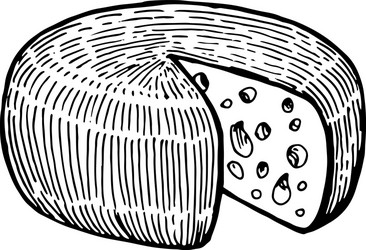 Cheese Head Vector Images (over 2,200)