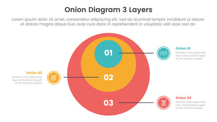 Onion diagram structure for infographic template Vector Image