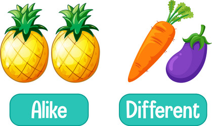 English opposite word awful and excellent Vector Image