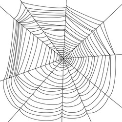 Spider web icon black lines on a white Royalty Free Vector