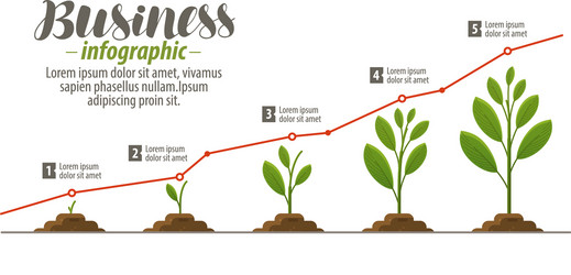 Infographic of planting tree seeds sprout Vector Image