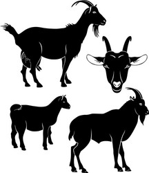 Goat Vector Images (over 35,000)