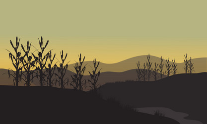 Corn Field Vector Images (over 14,000)