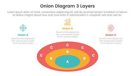Onion diagram structure for infographic template Vector Image
