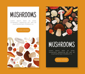 Mushroom banner design with edible agaric forest Vector Image