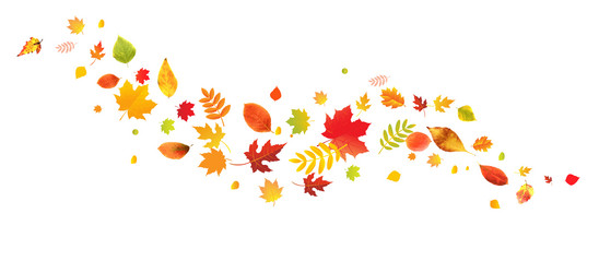 Autumn border with bright leaves transparent Vector Image